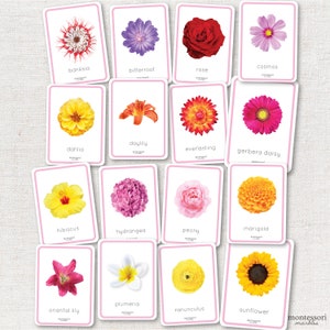 SPRING FLOWERS Flash Cards Montessori Inspired Printable - Etsy