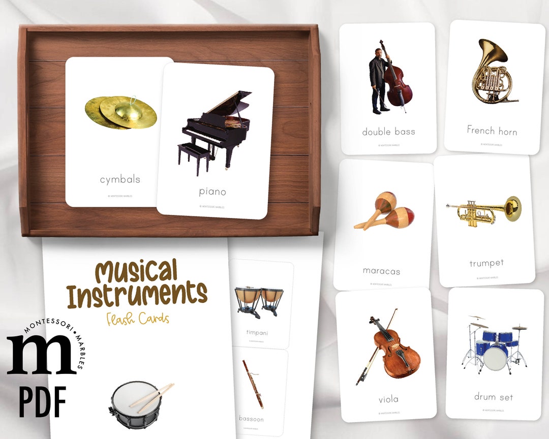 MUSICAL INSTRUMENTS Flash Cards Instruments in the Orchestra - Etsy