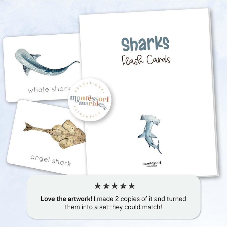 Sharks Flash Cards | 8 Species Watercolor Art | Ocean Marine Biology ...