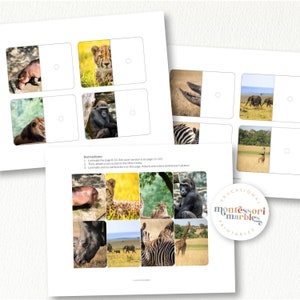 SAFARI ANIMALS Complete the Pictures | Montessori Inspired Visual ...