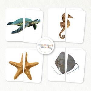 OCEAN ANIMALS Symmetry Puzzles | Montessori Inspired Printable ...
