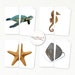 OCEAN ANIMALS Symmetry Puzzles Montessori Inspired Printable Matching ...