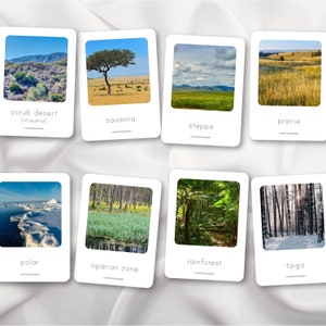BIOMES Flash Cards Montessori Inspired Cards Social Studies Geography ...