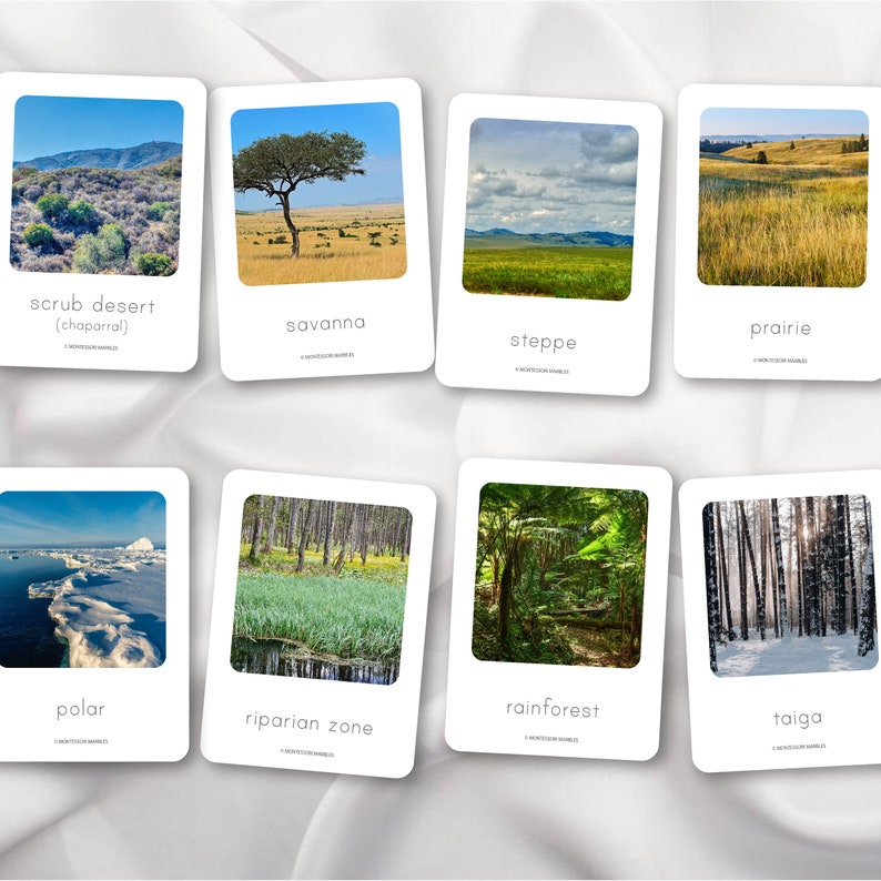 BIOMES Flash Cards Montessori Inspired Cards Social Studies Geography ...