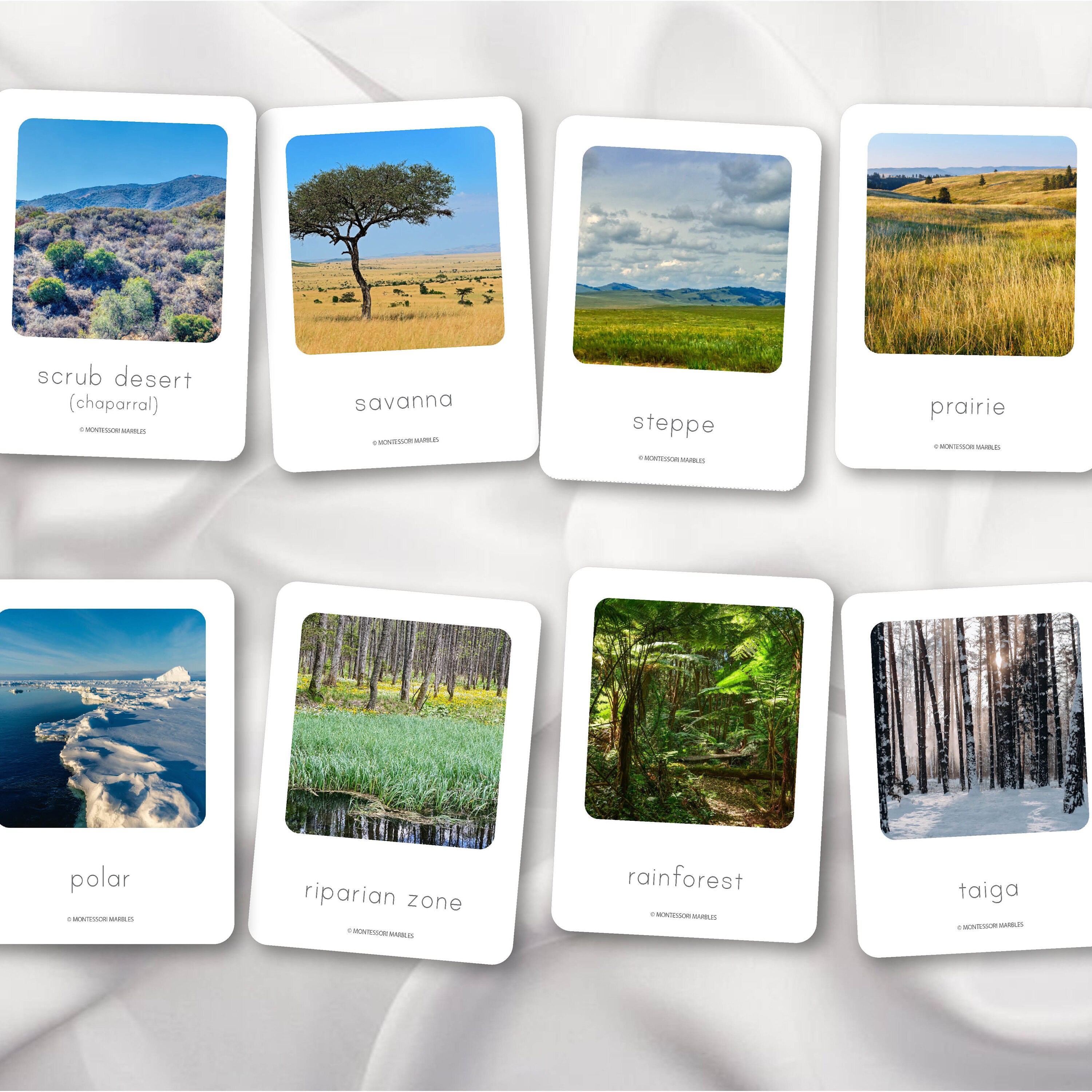 BIOMES Flash Cards Montessori Inspired Cards Social Studies Geography ...