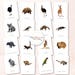 Australian Animals Nomenclature Cards | Montessori 3-part Cards ...
