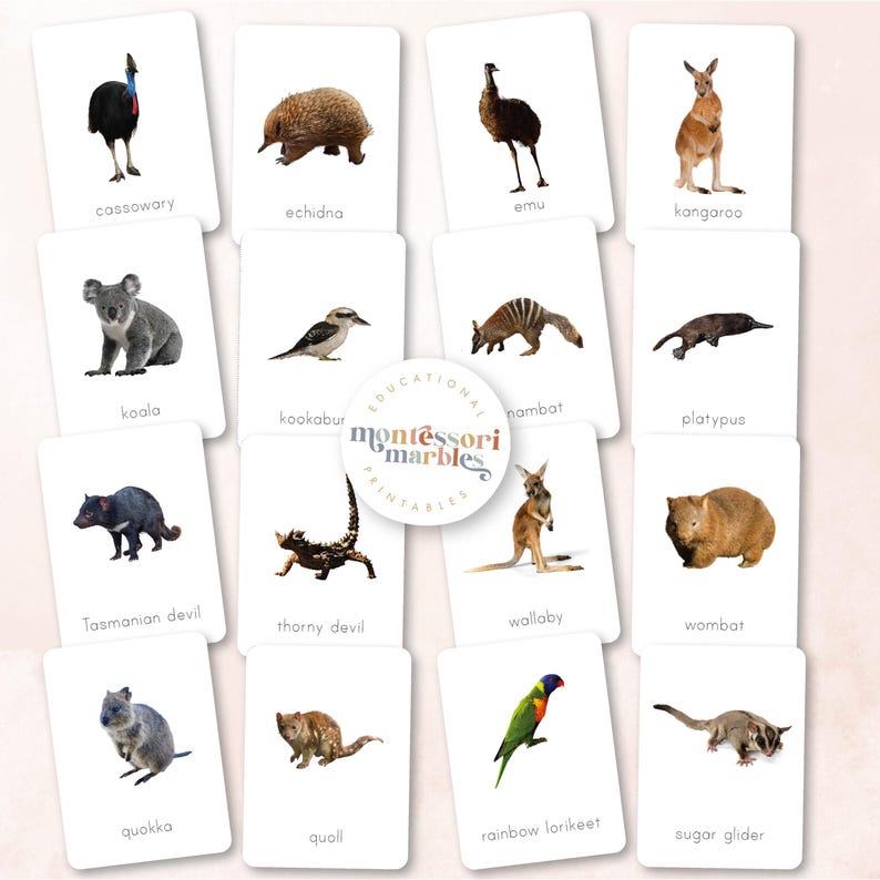 Australian Animals Nomenclature Cards | Montessori 3-part Cards ...