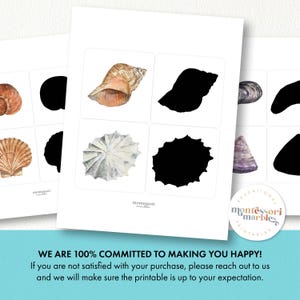 SEASHELLS Shadow Matching | Silhouette Matching | Montessori Inspired ...