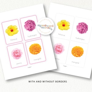 Spring Flowers Flash Cards: Montessori Vocabulary (printable) - Etsy
