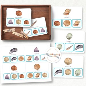 SEASHELLS Mini Bundle for Preschool & Kindergarten Age 2-4 Years Old ...