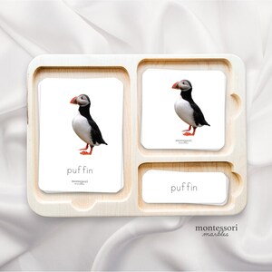 POLAR ANIMALS Nomenclature Cards Arctic Animals Montessori 3-part Cards ...