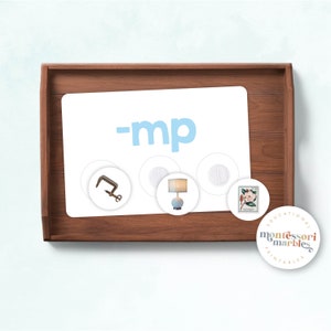 BLUE SERIES Ending Blends Sorting Cards | Montessori Language Activity ...