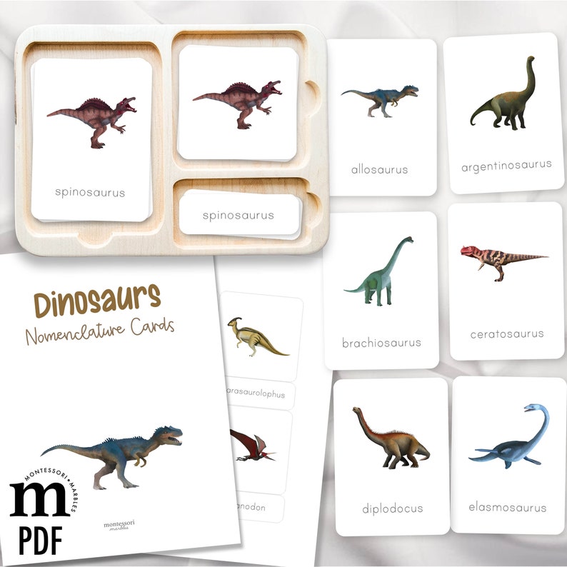 DINOSAUR Montessori Nomenclature Cards, Prehistoric Creatures Cards ...