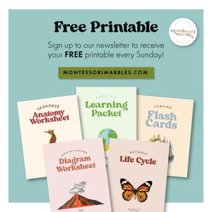 Landforms Flash Cards | Montessori Geography Learning | Real Photo ...