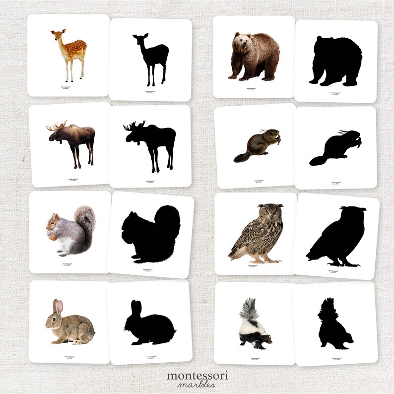 WOODLAND ANIMALS Shadow Matching Silhouette Matching | Etsy