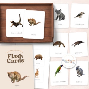 AUSTRALIAN ANIMALS Flash Cards Montessori Inspired Learning Resources ...
