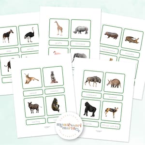ANIMALS OF AFRICA Montessori Nomenclature Cards | Nature-based Learning ...
