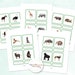 ANIMALS OF AFRICA Montessori Nomenclature Cards Nature-based Learning ...
