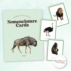 ANIMALS OF AFRICA Montessori Nomenclature Cards | Nature-based Learning ...