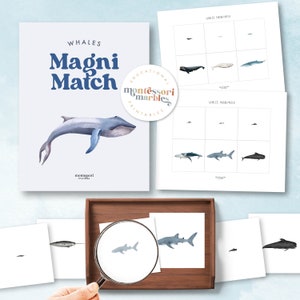 WHALES Magnifying Matching Game | Montessori at Home Using Magnifying ...