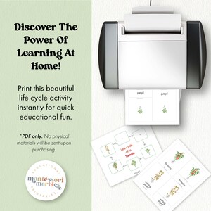 Life Cycle of a Melon and Montessori Nomenclature Cards | Growing Melon ...