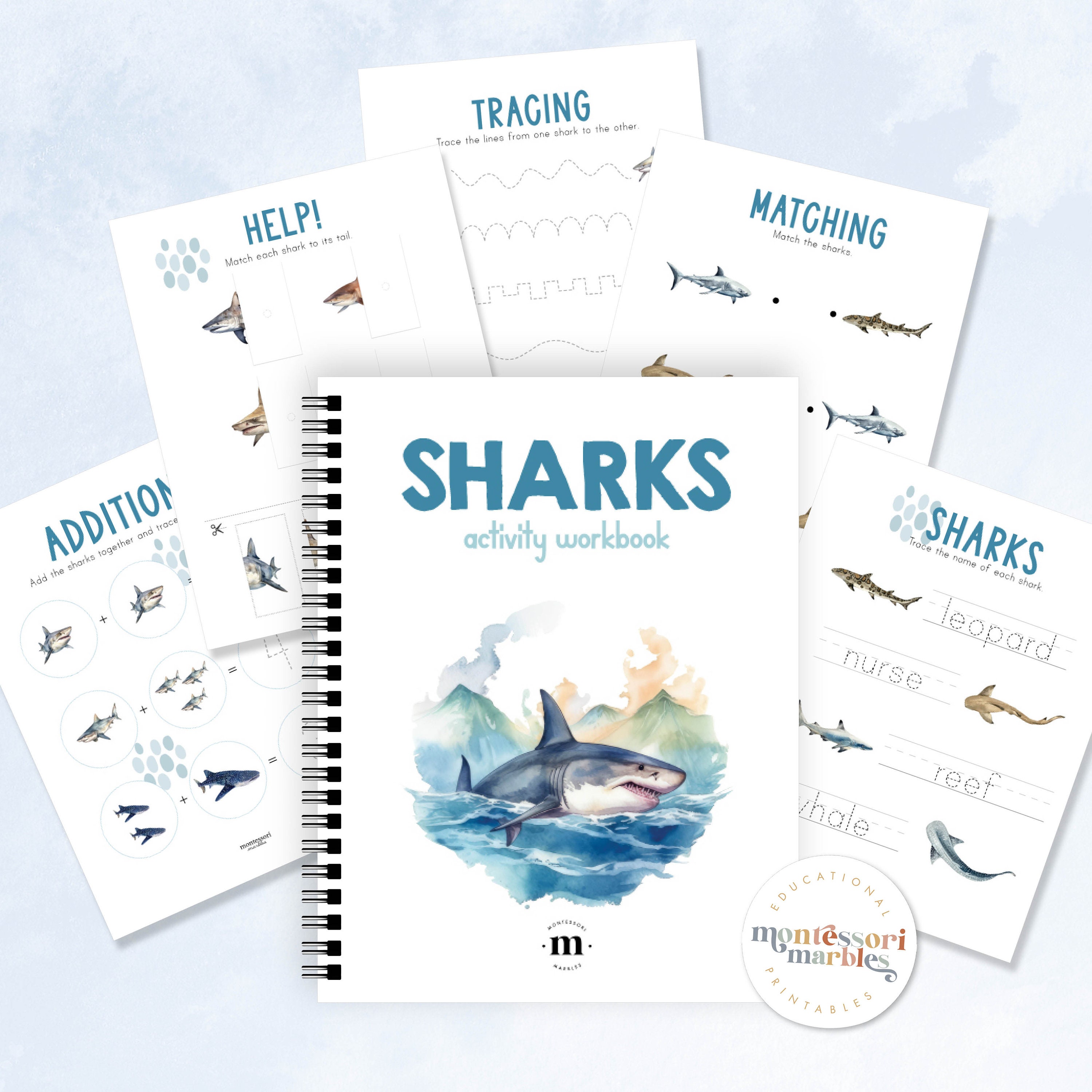 Shark Activity Workbook and Flash Cards for Prek and Kindergarten - Etsy
