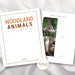 WOODLAND ANIMALS Montessori Picture Matching Activity, Toddlers ...