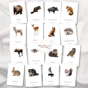 WOODLAND ANIMALS Flash Cards Montessori Inspired Printable Resources ...