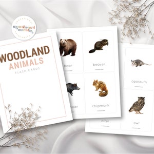WOODLAND ANIMALS Flash Cards Montessori Inspired Printable Resources ...