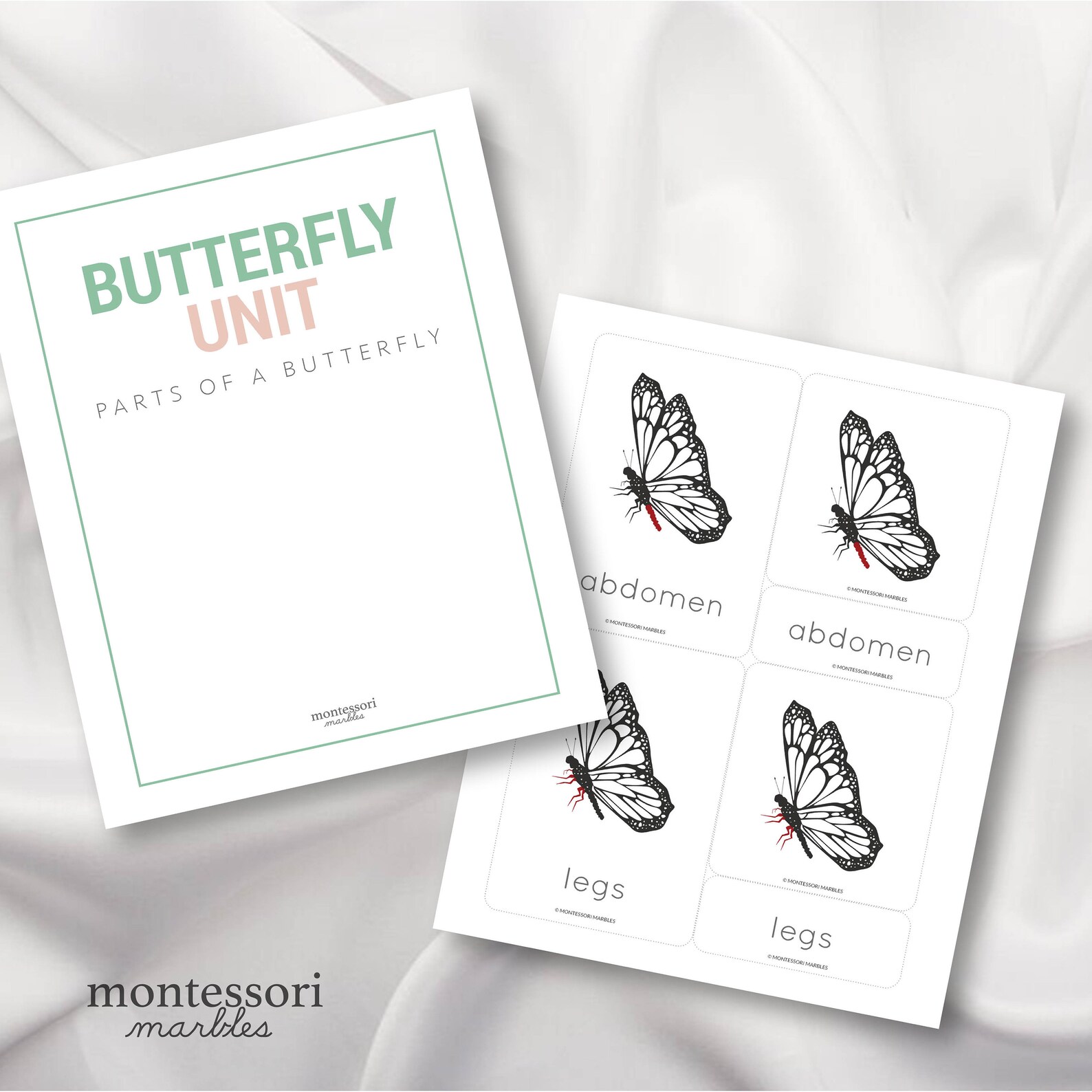 Parts of a Butterfly Montessori Nomenclature Three-part - Etsy