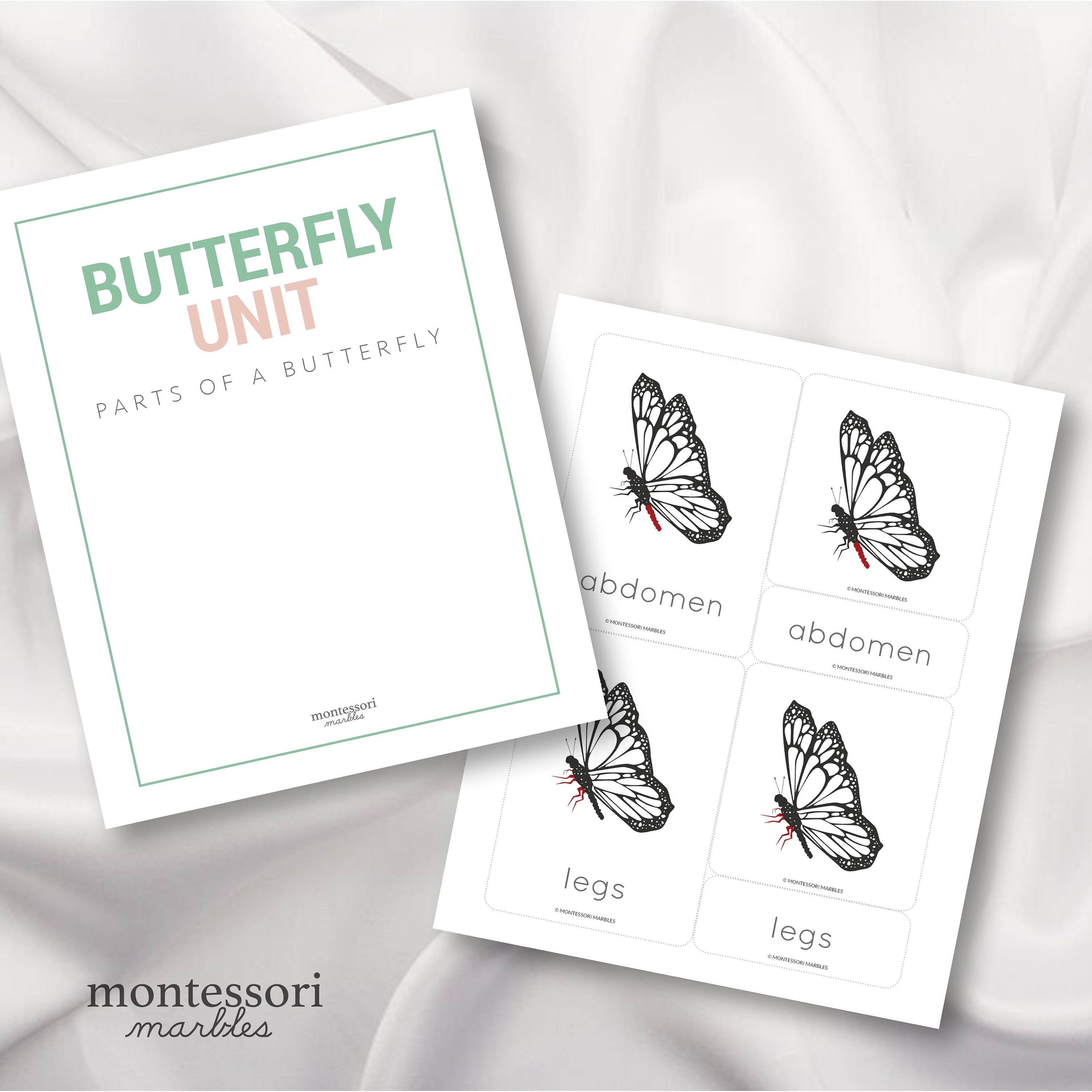 Parts of a Butterfly Montessori Nomenclature Three-part - Etsy