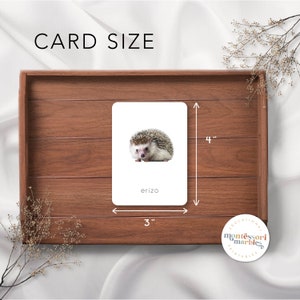 ANIMALES DEL BASQUE, Woodland Animals, Spanish Montessori Flash Cards ...