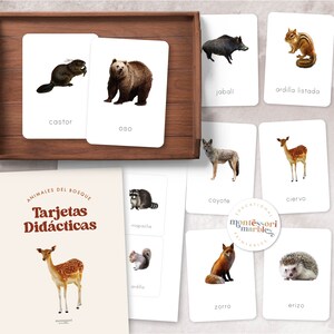 ANIMALES DEL BOSQUE Tarjetas Didácticas | Woodland Animals | Spanish ...