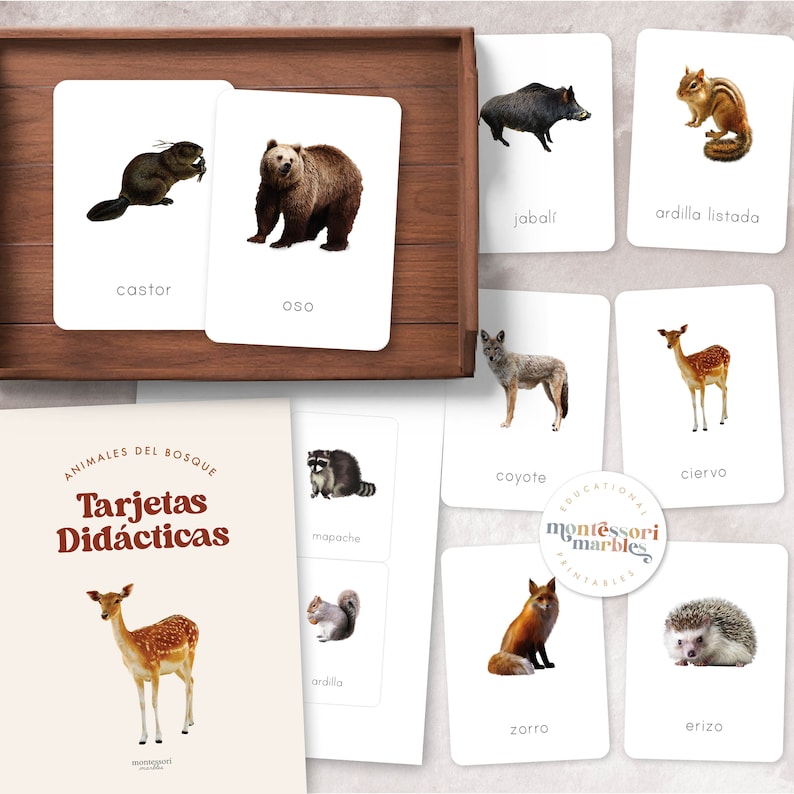 Animales Del Bosque Tarjetas | Spanish Forest Animals | Montessori ...