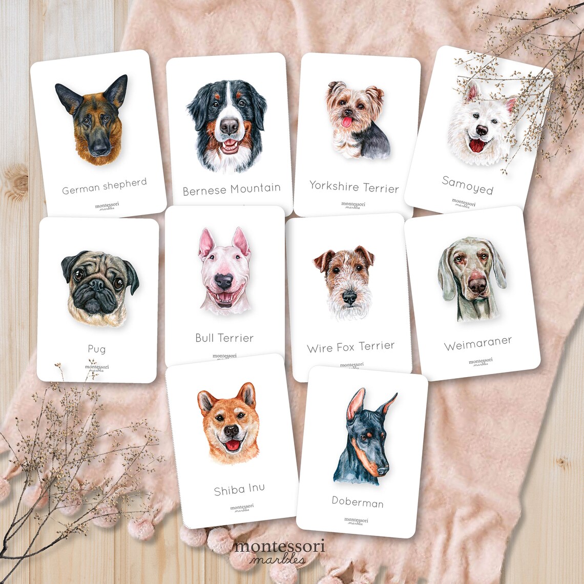 DOGS Flash Cards Types of Dogs Dog Breeds Baby Flash Cards - Etsy