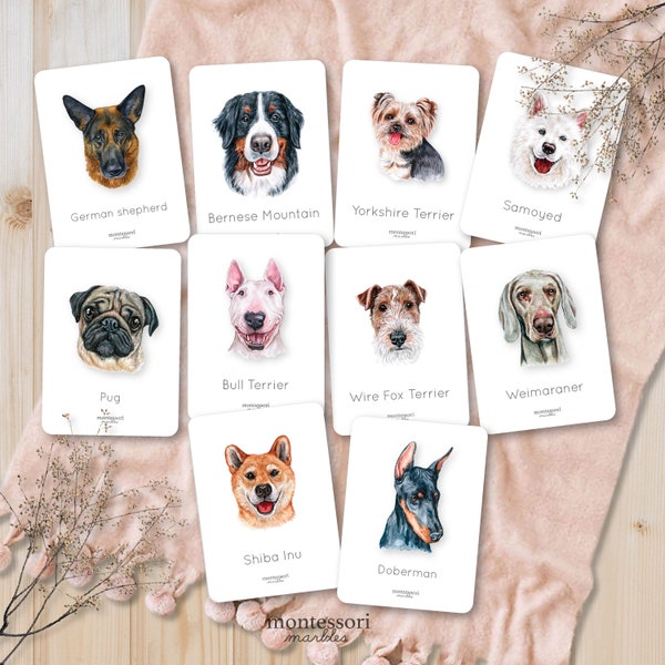 Dog Flash Cards - Etsy New Zealand