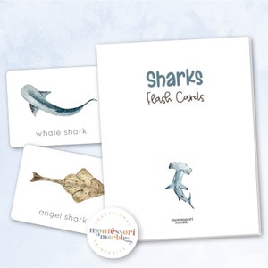 SHARKS Flash Cards | Types of Sharks | Watercolor Sharks Flash Cards ...