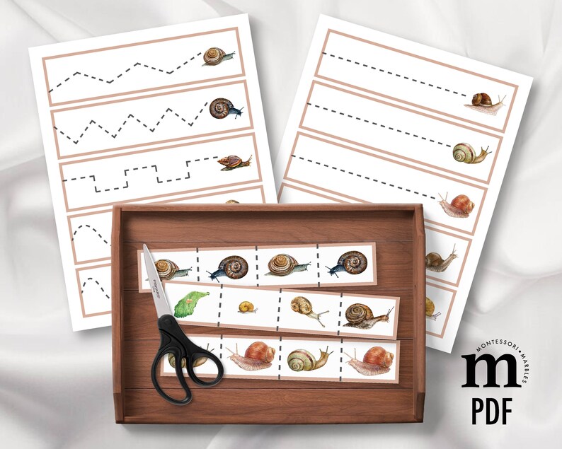 SNAILS Cutting Strips Preschool Cutting Strips Montessori - Etsy