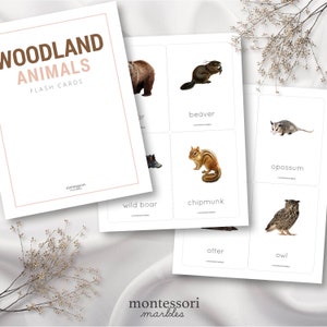 WOODLAND ANIMALS Flash Cards Montessori Inspired Printable - Etsy