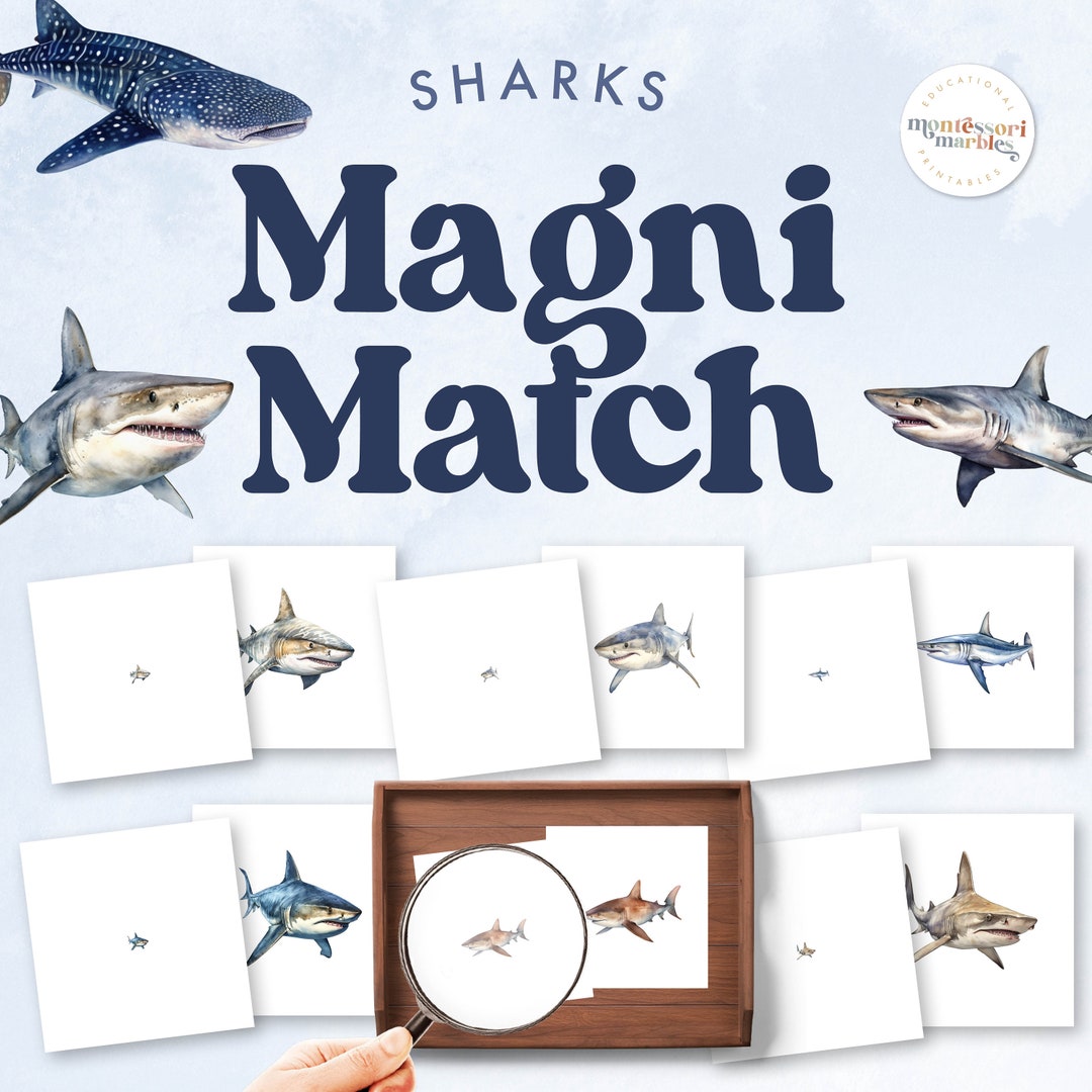 SHARKS Magnifying Matching Game | Montessori at Home Using Magnifying ...