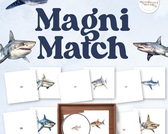 SEASHELLS Magnifying Matching Game Montessori at Home Using Magnifying ...
