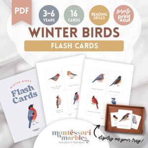WINTER BIRDS Flash Cards | 16 Flashcards | Montessori Inspired ...