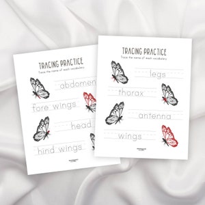 Butterfly Tracing Activities for Preschool and Kindergarten in Print ...