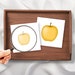 APPLES Magnifying Matching Game Montessori at Home Using - Etsy