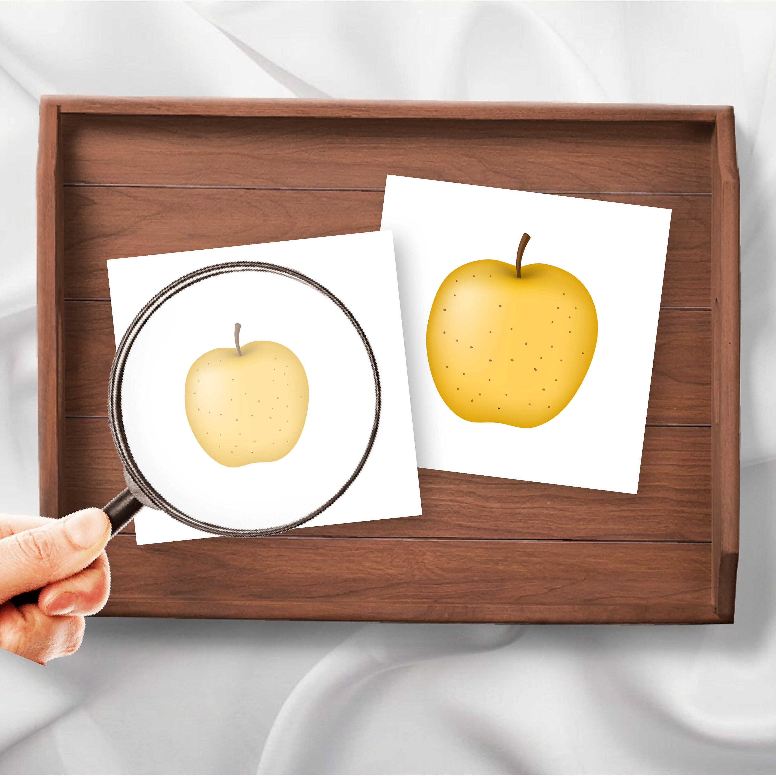 APPLES Magnifying Matching Game Montessori at Home Using - Etsy
