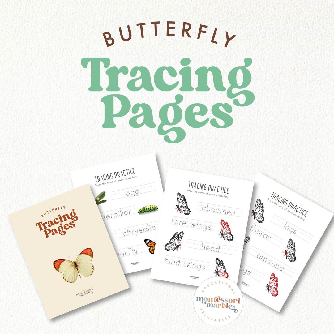 Butterfly Tracing Activities for Preschool and Kindergarten in Print ...
