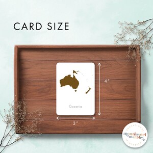SEVEN CONTINENTS Nomenclature Cards Montessori Learning Resources for ...