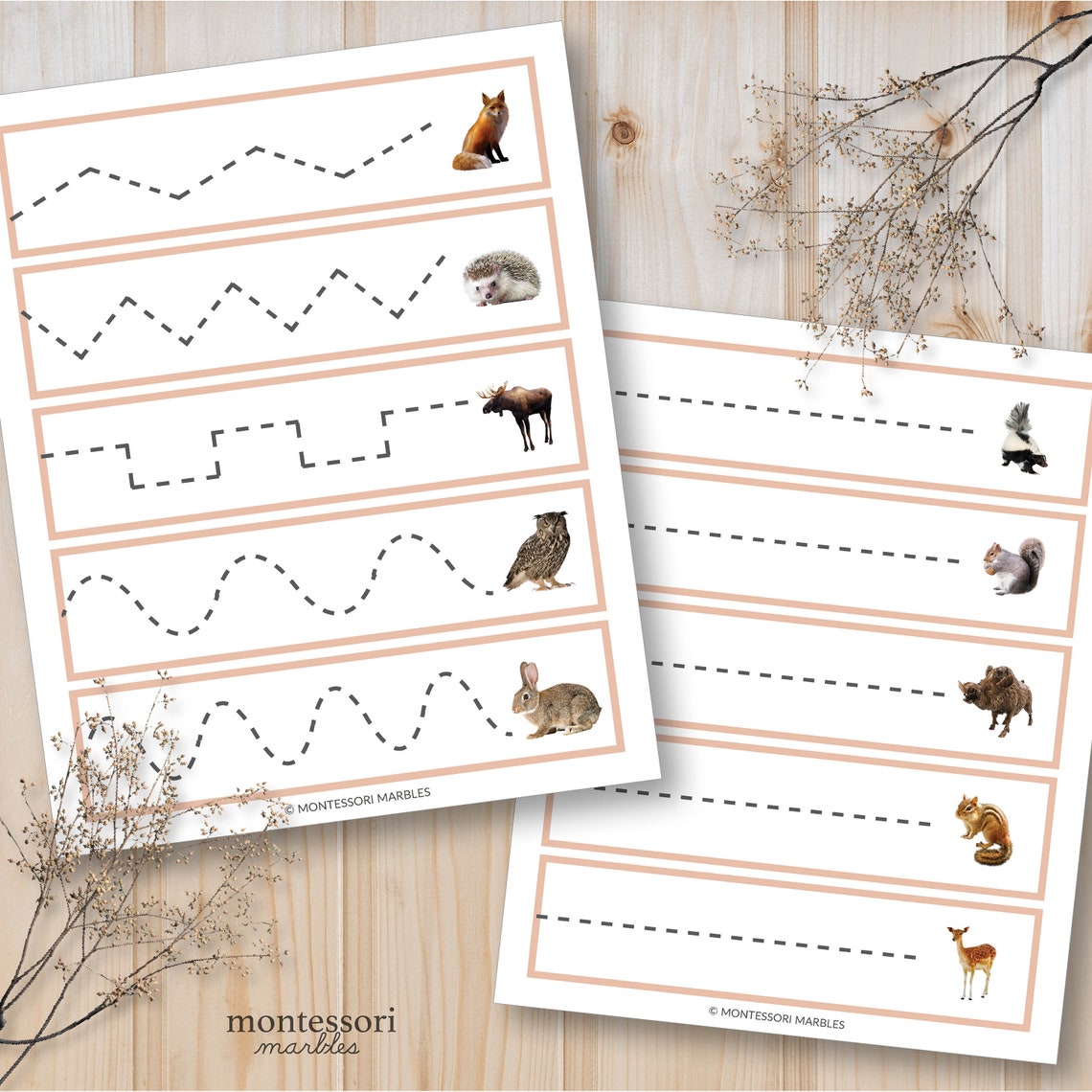 WOODLAND ANIMALS Cutting Strips Montessori Inspired Real - Etsy