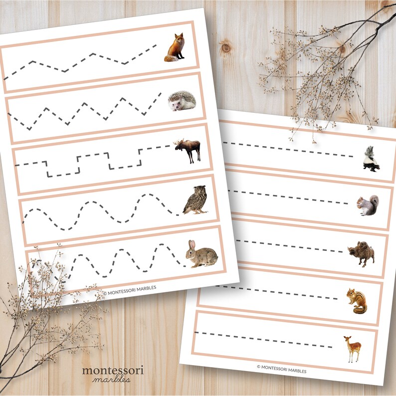 WOODLAND ANIMALS Cutting Strips Montessori Inspired Real - Etsy