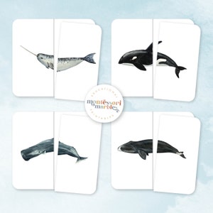 WHALES Two-piece Puzzles | Montessori Inspired Printable | Matching ...